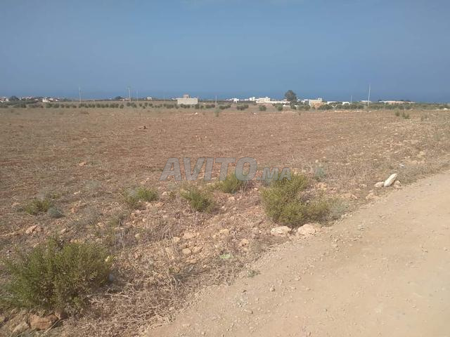 Terrains et Fermes à Dar El Kebdani à_vendre - Avito | IMMO