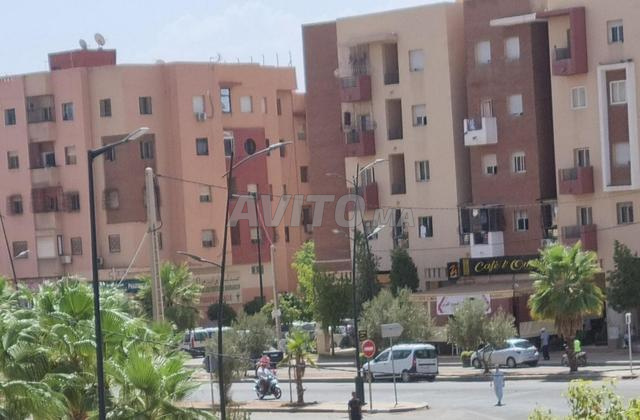 Annonces pour petite ferme à Marrakech à vendre - Avito