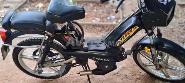 Découvrez 5 annonces pour Motos peugeot 103 ninja à_vendre - Avito | AUTO