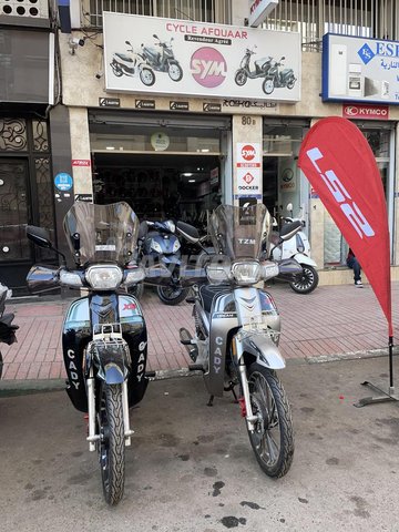 Découvrez 8 annonces pour Motos becane spring x à_vendre - Avito | AUTO