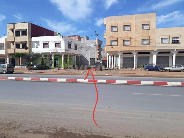 Terrains et Fermes à Sidi Taibi à_vendre - Avito | IMMO