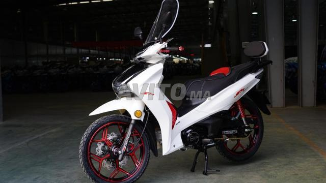Découvrez 5 annonces pour Motos daytona sh à_vendre - Avito | AUTO